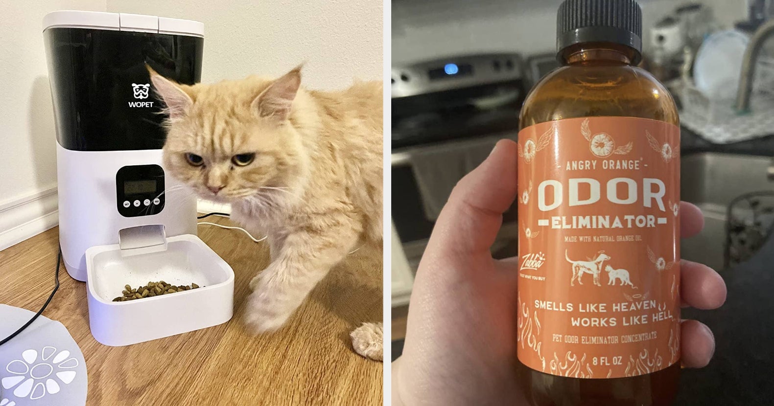 All The Best Early Black Friday Pets Deals