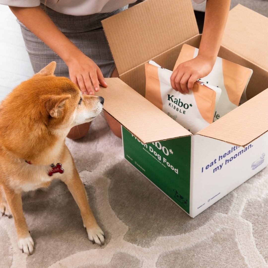 Kabo Black Friday Sale 2021