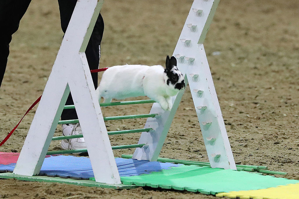 18 Interesting Sports From Around The World