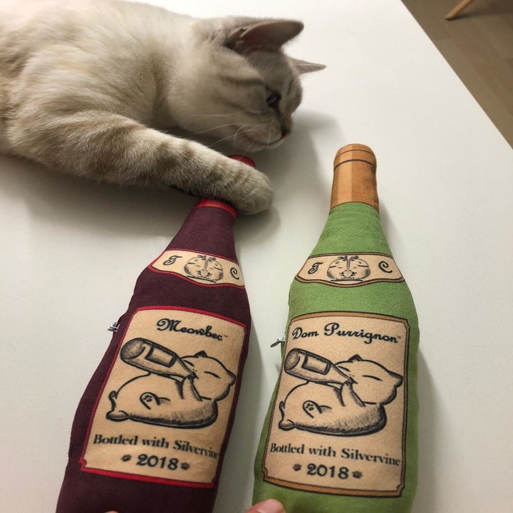 21 Best Cat Toys For Indoor Cats To Have Tons Of Fun