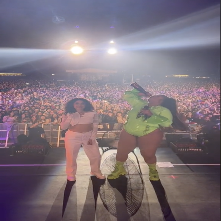 Lizzo Breaks TikTok Record