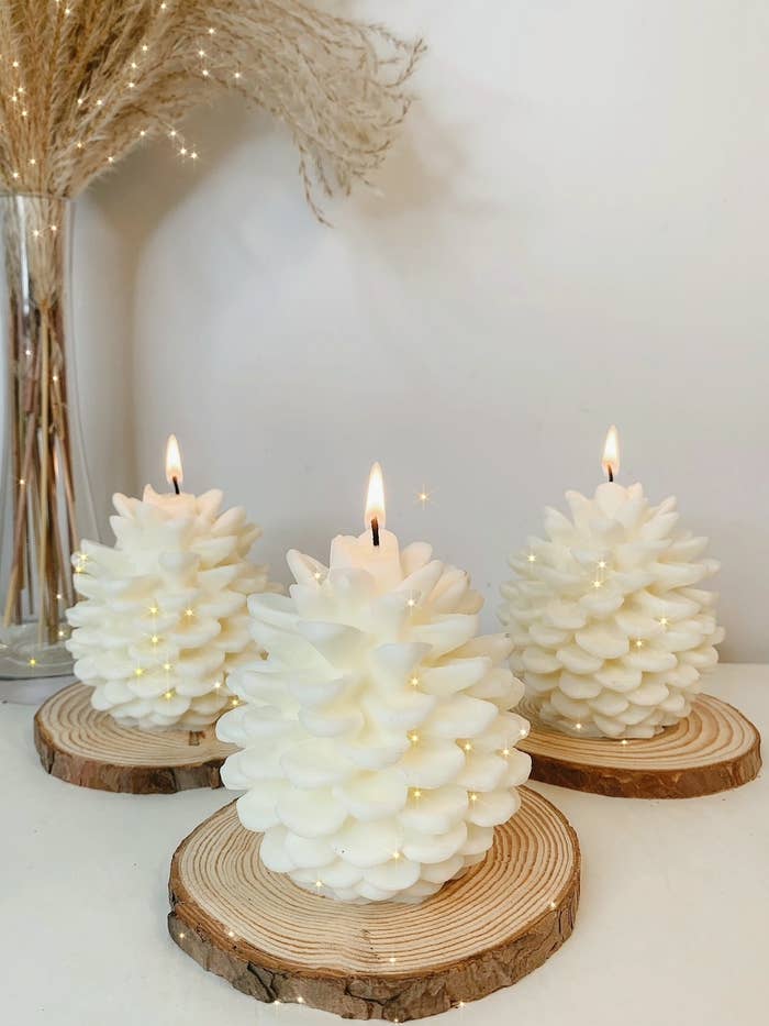 31 Cozy Things For Hibernating Season