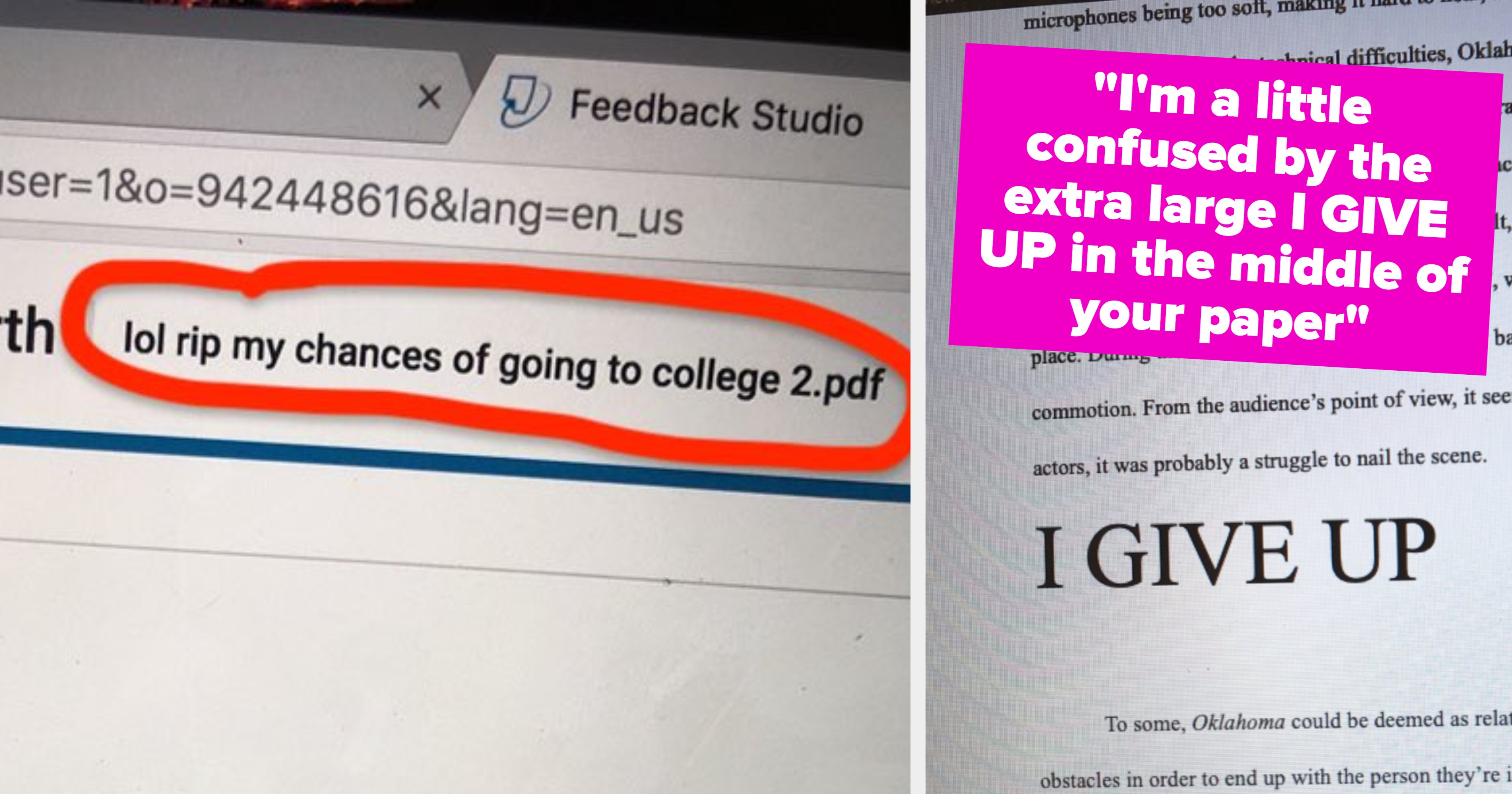 17 Students Who Didn't Proofread Their Work