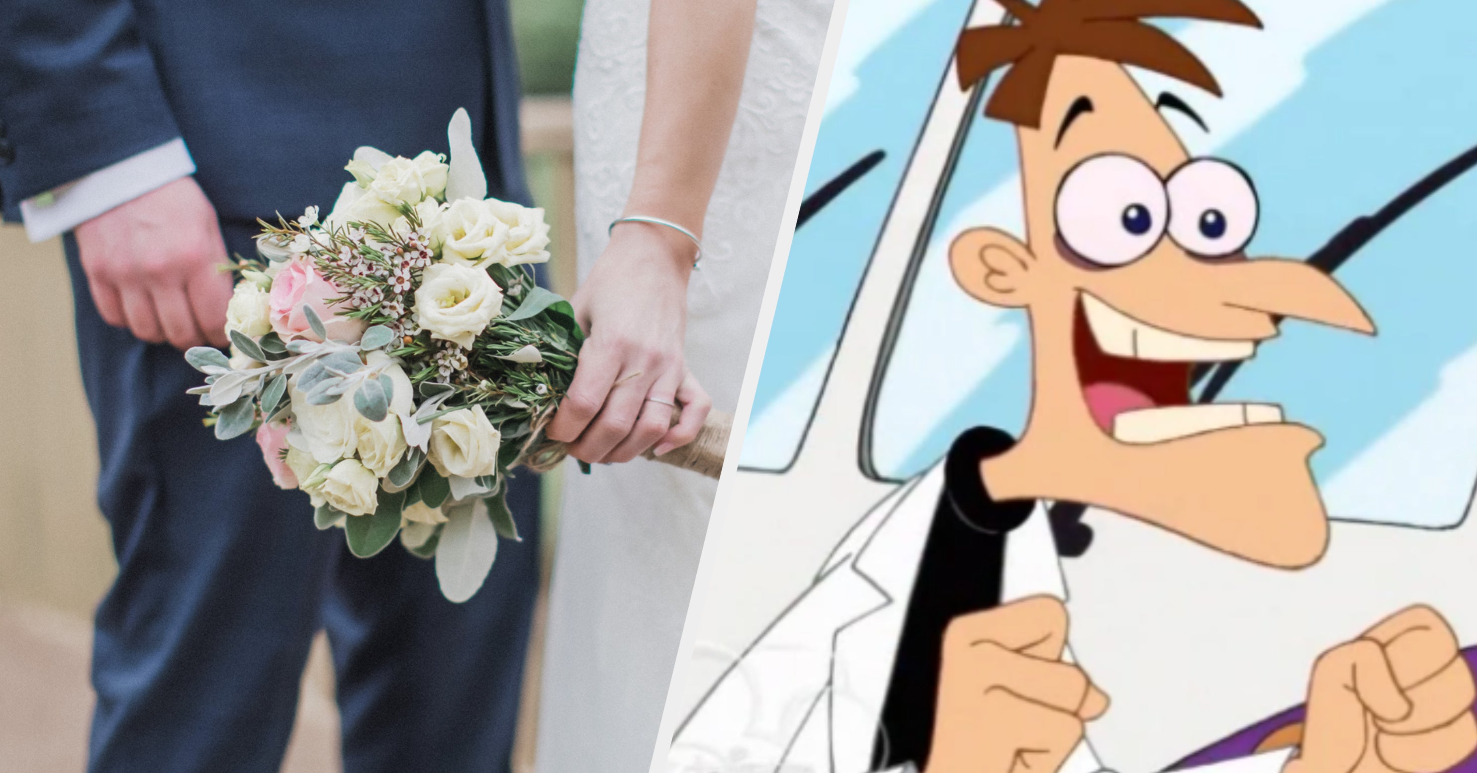 Plan A Wedding To Get A Cartoon Character Soulmate
