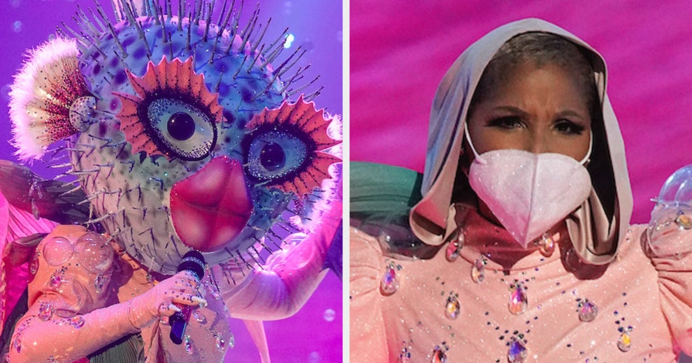 Masked Singer Season 6 Celebrities Revealed