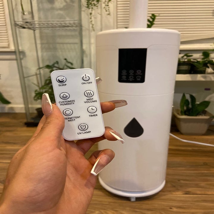 11 Best Whole House Humidifiers That Bring The Moisture