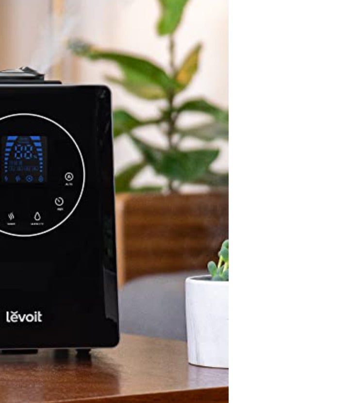 11 Best Warm Mist Humidifiers To Hydrate Your Home 2022