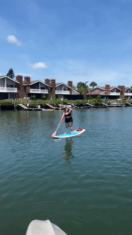 These Are The 16 Things You Should Do In Florida, According To A ...