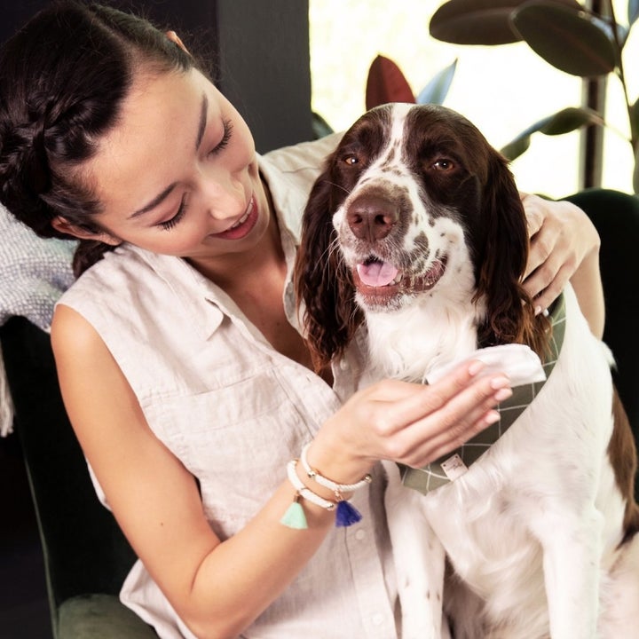 20 Grooming Products From Chewy That Are Easy To Use