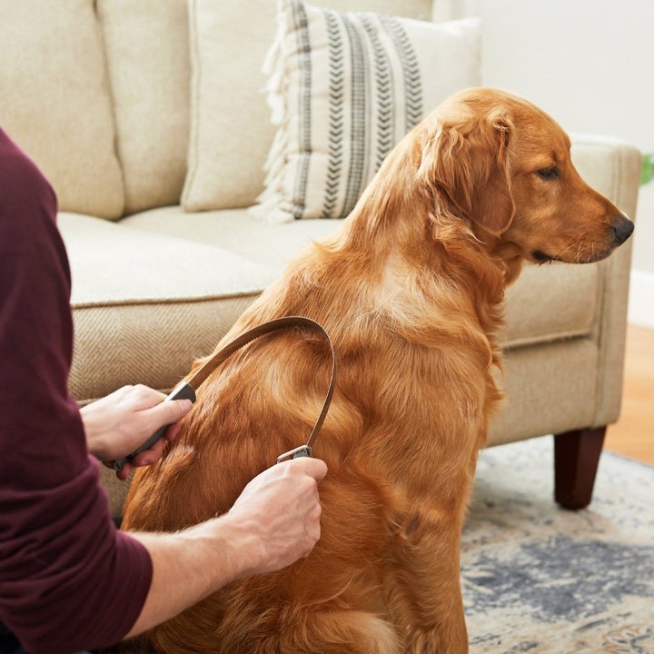 20 Grooming Products From Chewy That Are Easy To Use