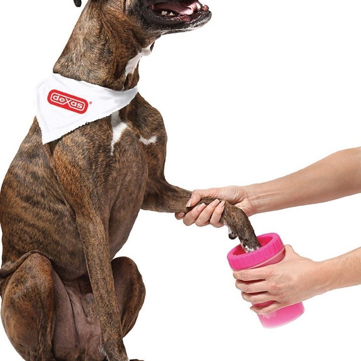 20 Grooming Products From Chewy That Are Easy To Use