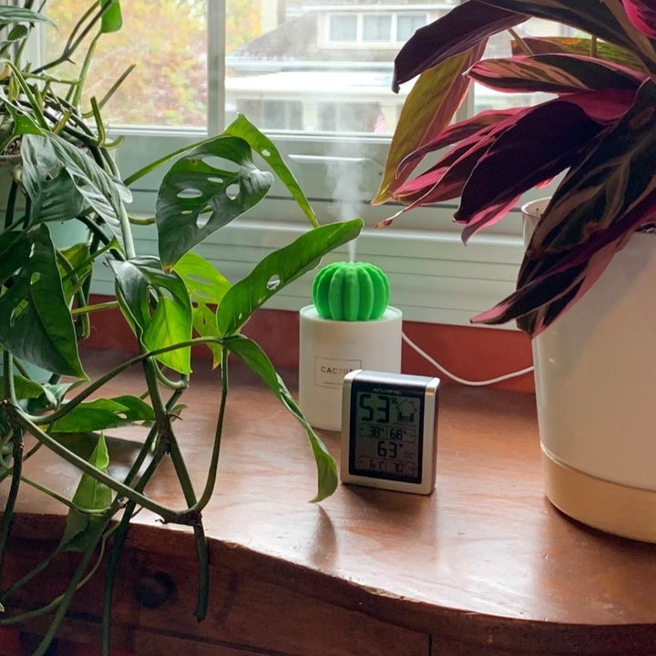 16 Mini Humidifiers That Are Adorable And Functional