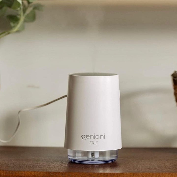 16 Mini Humidifiers That Are Adorable And Functional