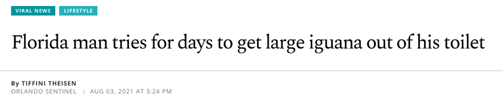 The 40 Most Outrageous Florida Man Stories Of 2021