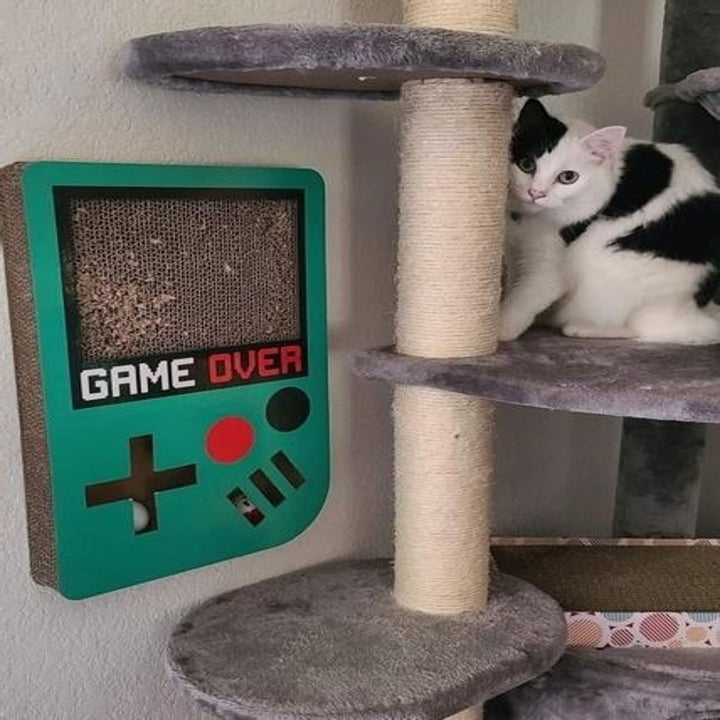 25 Cute And Practical Gifts For Cat Owners