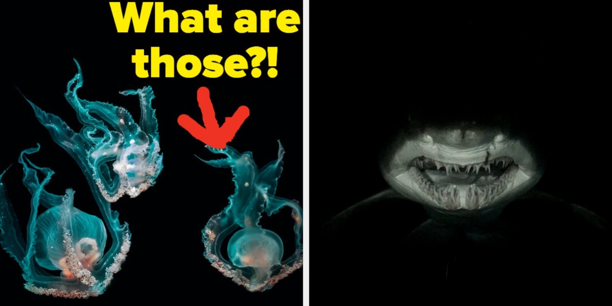 deep sea pictures scary