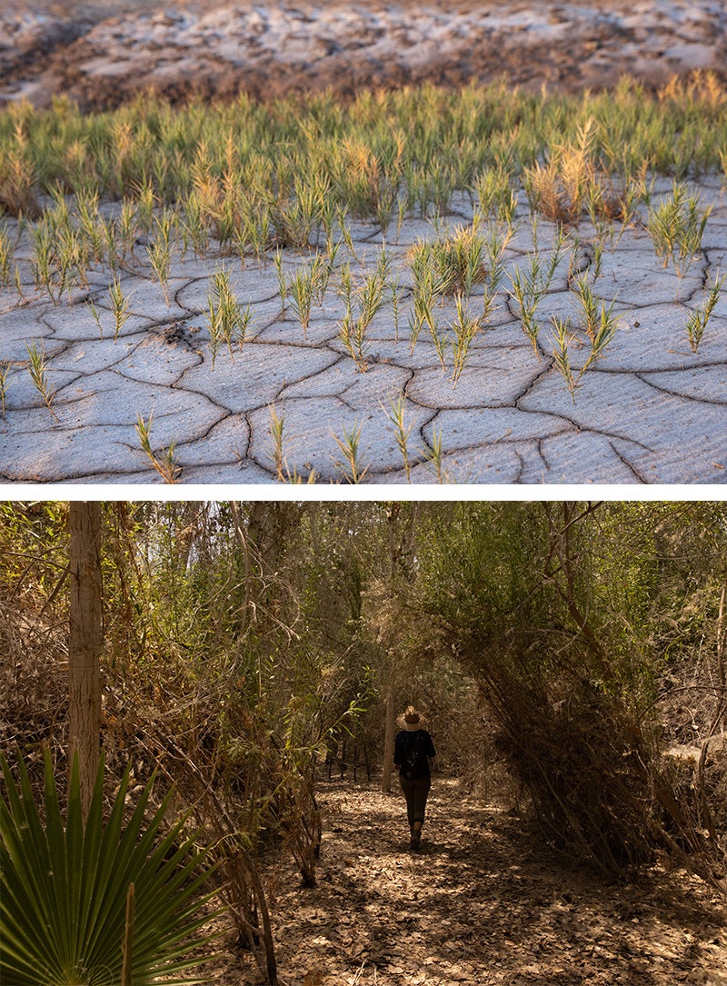 Tribes And Conservation Groups Fight For A Say In The Future Of The ...