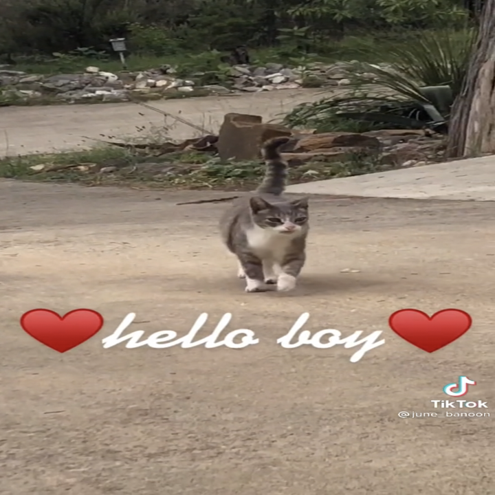 2021 Best Memes Of The Year