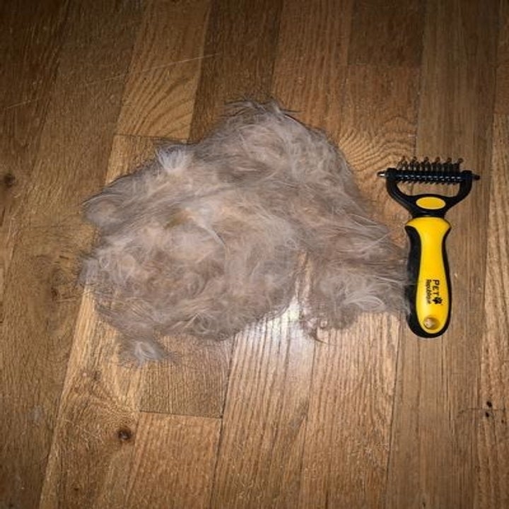 20 Grooming Products From Chewy That Are Easy To Use