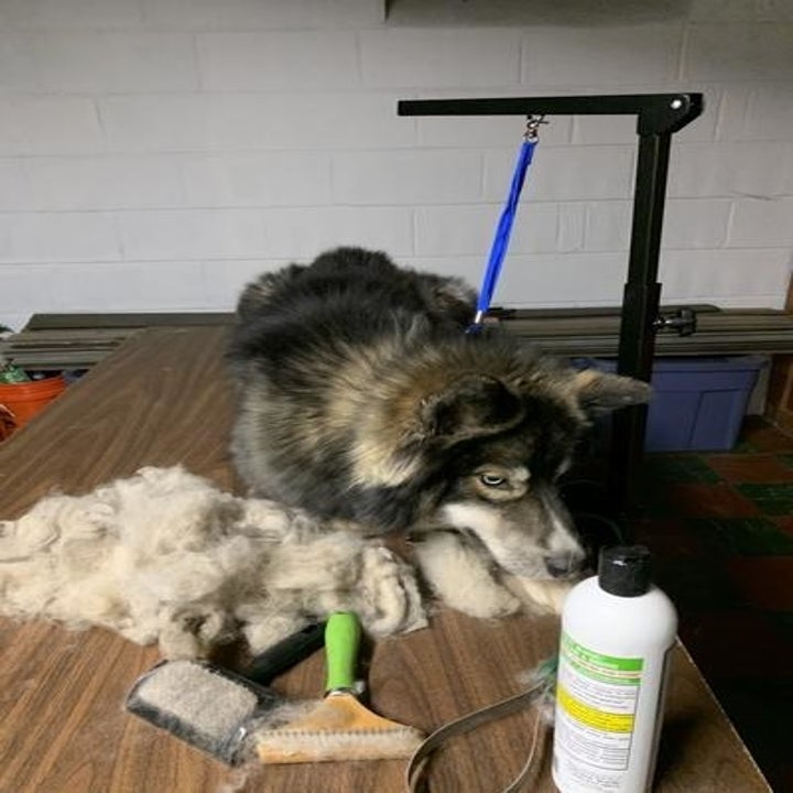 20 Grooming Products From Chewy That Are Easy To Use