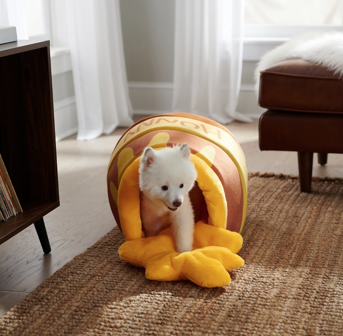 25 Things From Chewy That’ll Spoil Your Pet