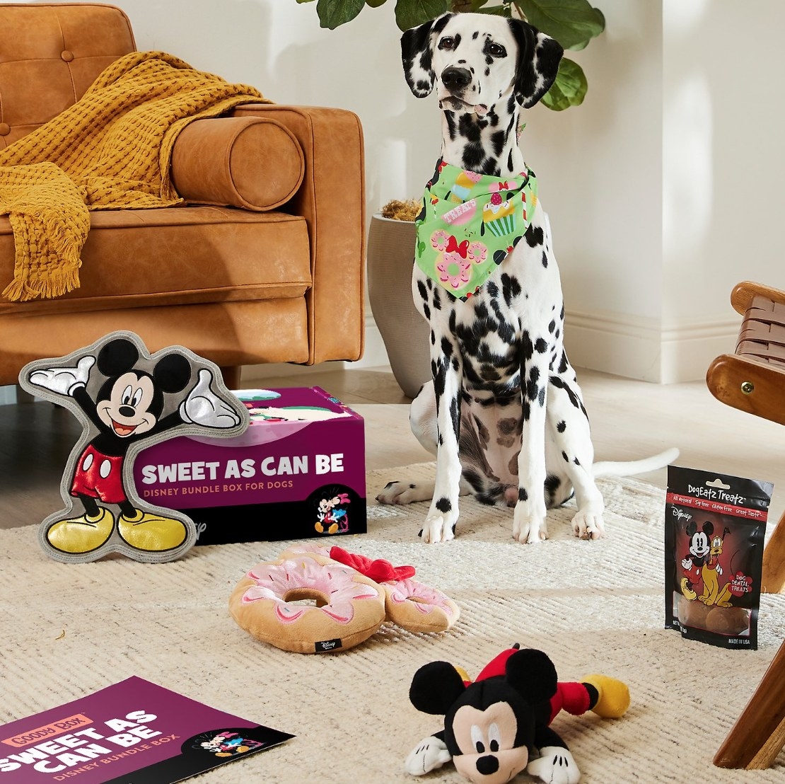 25 Things From Chewy That’ll Spoil Your Pet