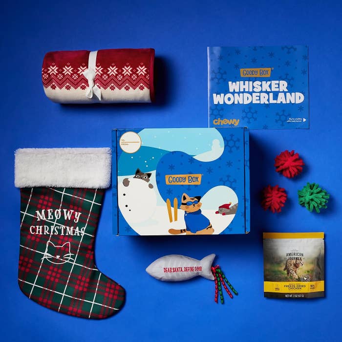 25 Things From Chewy That’ll Spoil Your Pet