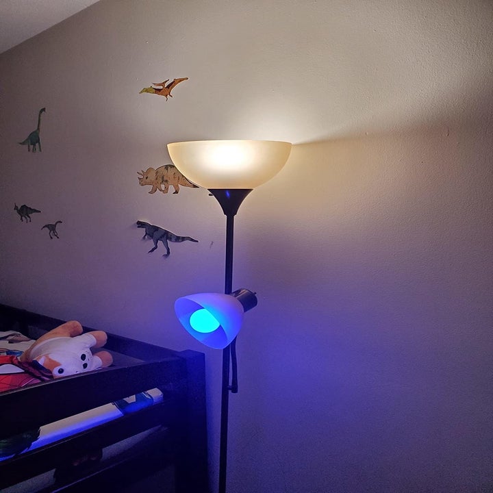 26 Products For Homes With Barely Any Natural Light