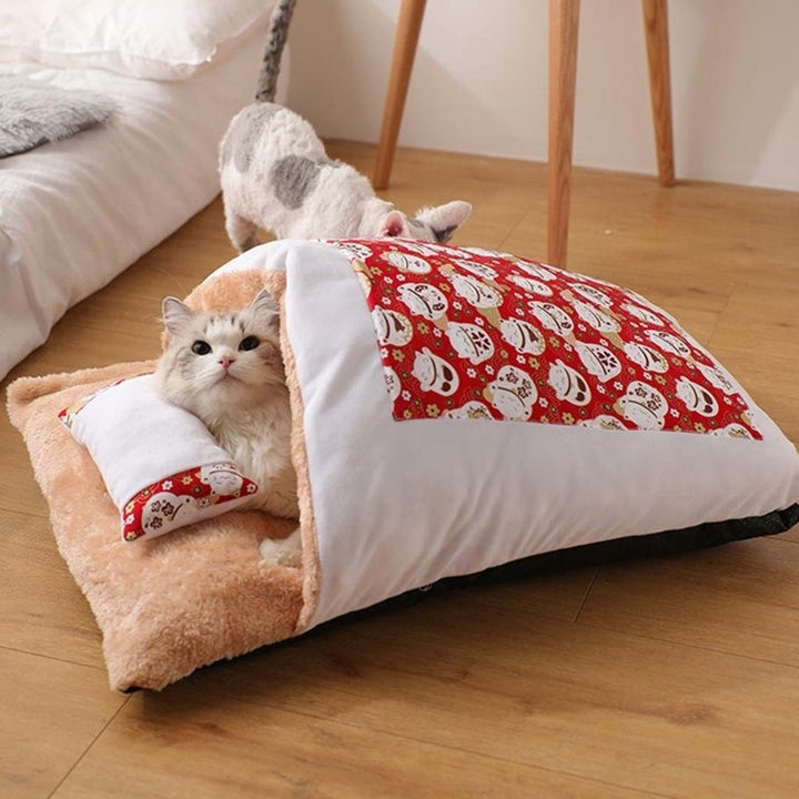 24 Warm And Cozy Pet Products For Winter