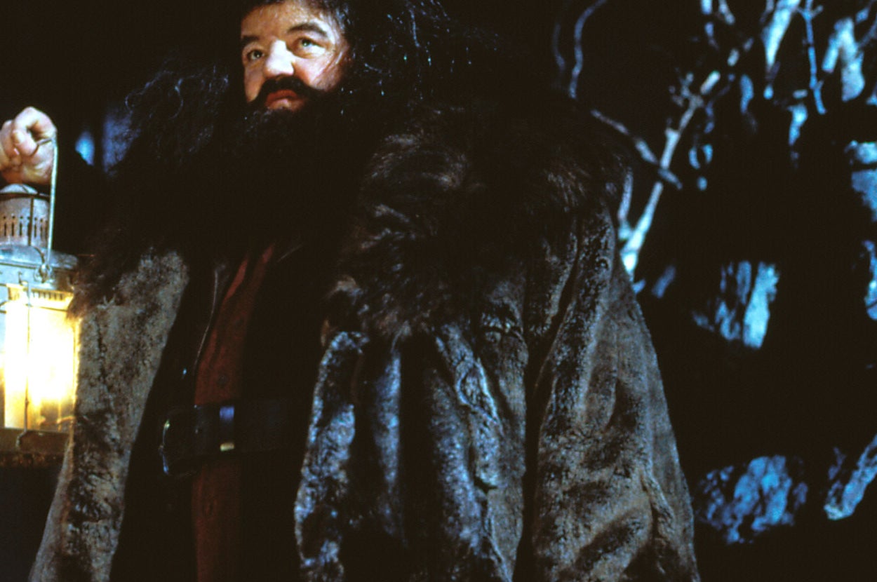 Harry Potter Star Robbie Coltrane Dead At 72