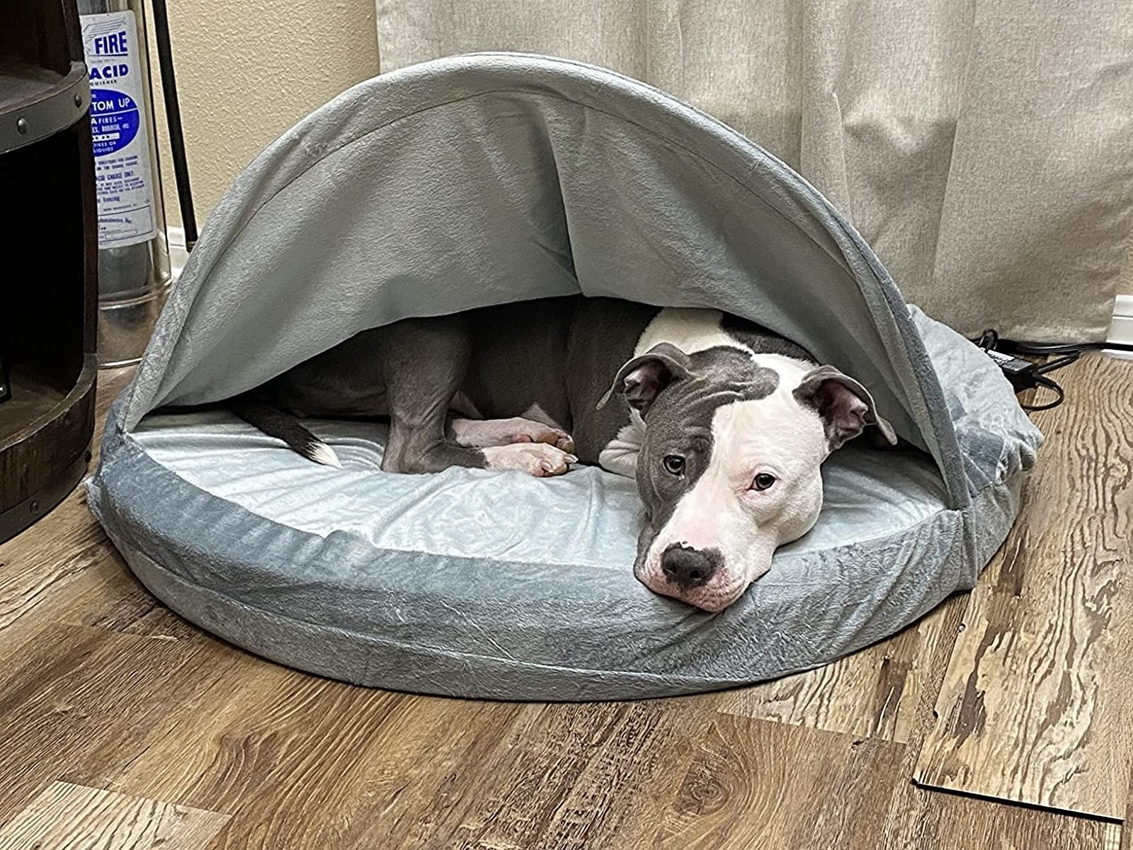 24 Warm And Cozy Pet Products For Winter