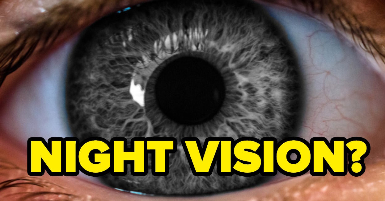 How Well Can You See In The Dark? Night Vision Quiz