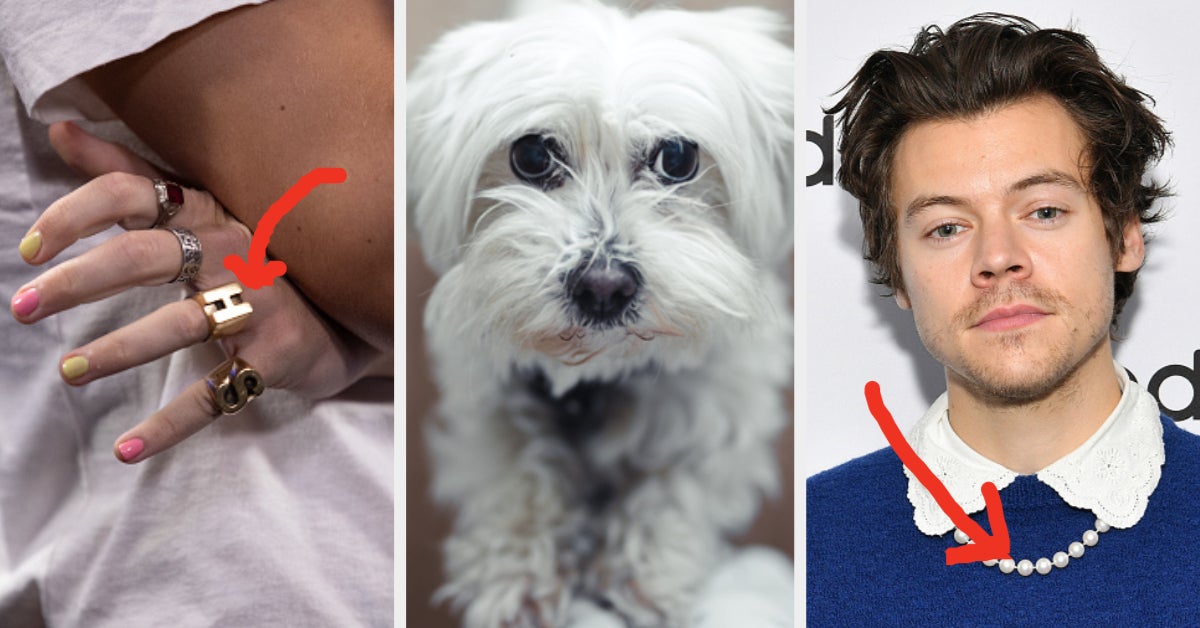 If You Stan Harry Styles, Choose Some Pets And We'll Reveal Which Of ...