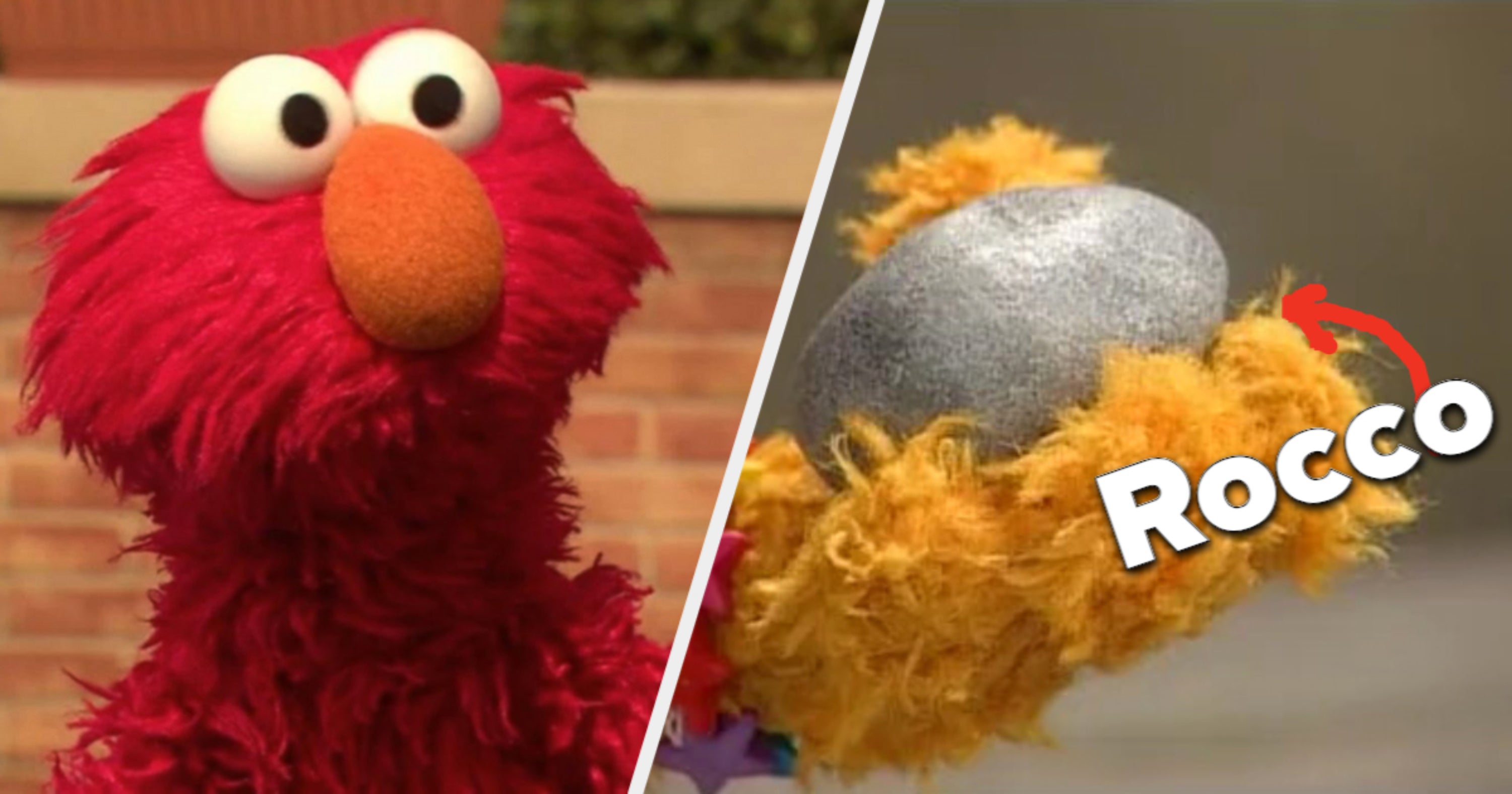 Are You Rocco Or Elmo Tiktok Viral Quiz