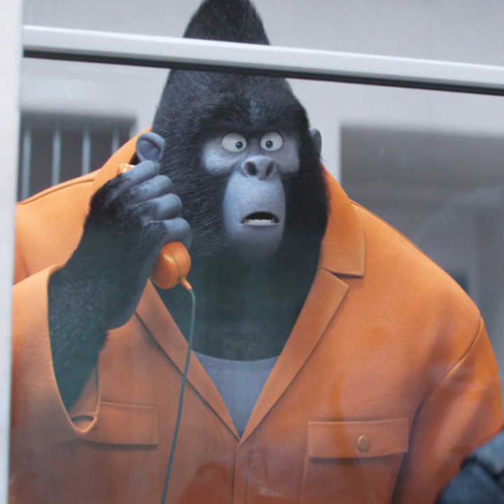 Sing 2 Cast In Real Life Vs Their Characters