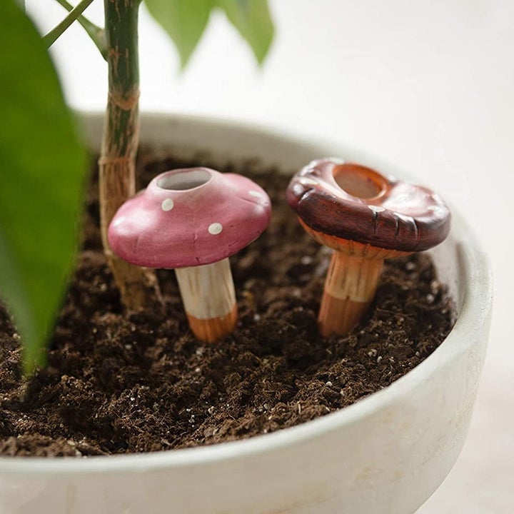 39 Fun And Interesting Products You May Have Never Seen Before