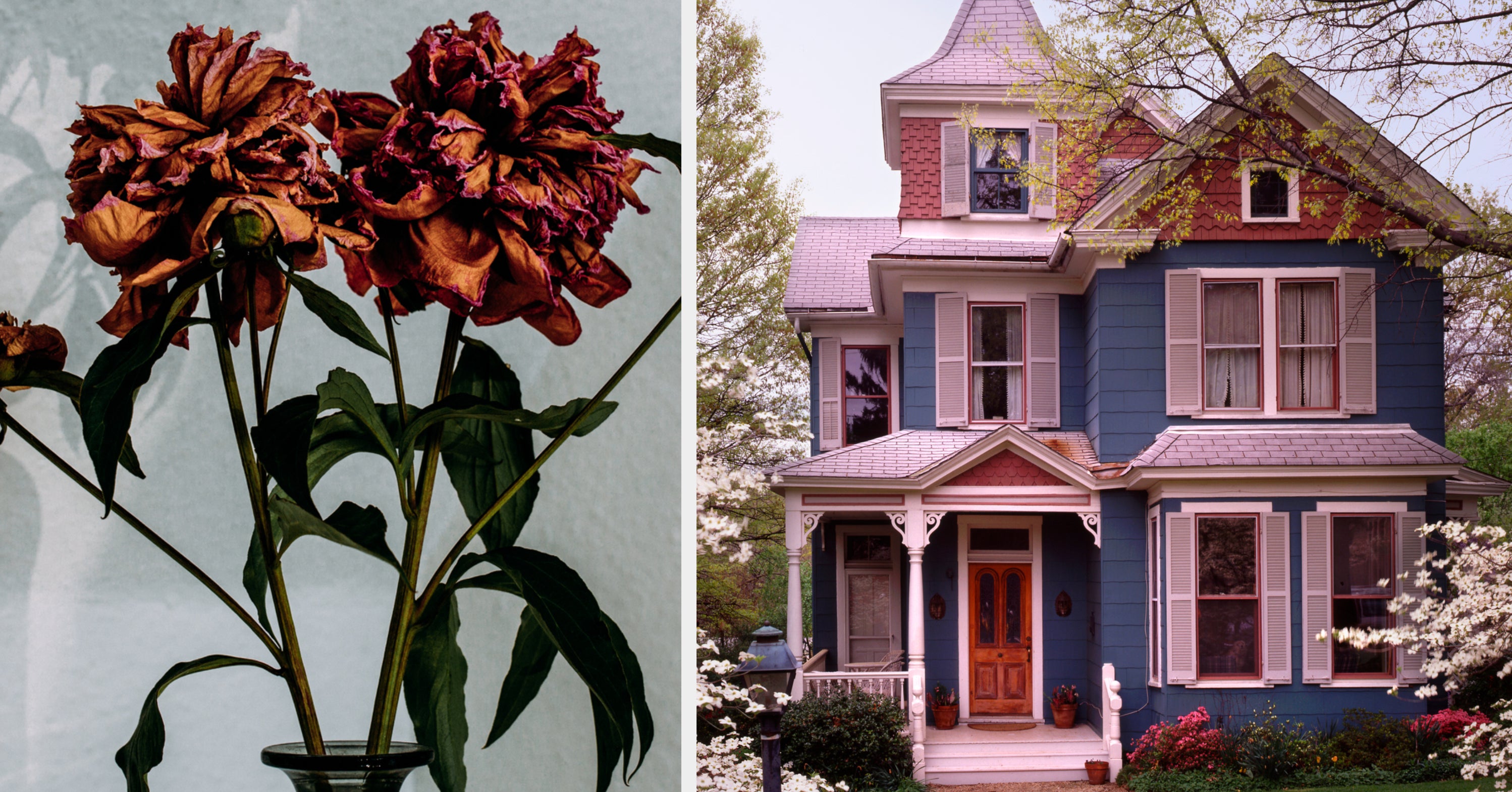 This Quiz Will Reveal Exactly Which Style Of Home Suits You Best