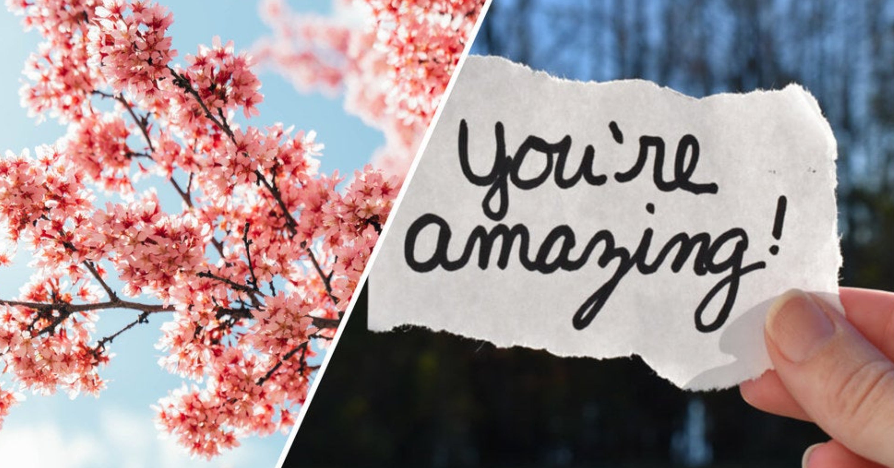 Pick Spring Images To Get A Specific Compliment Quiz