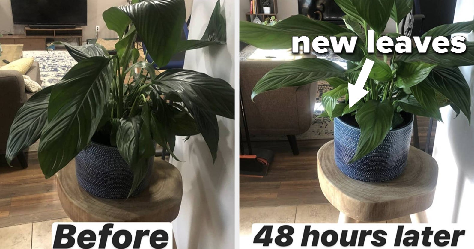 28 Under $10 Items With Dramatic Before And After Pics