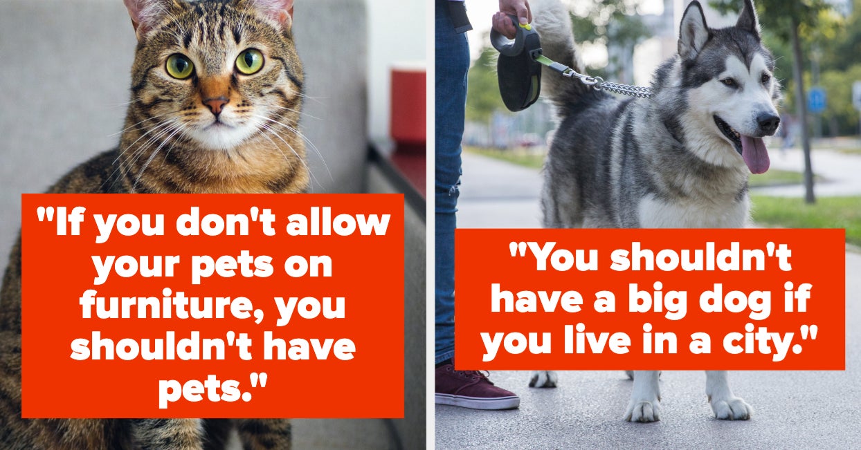 Unpopular Pet Opinions