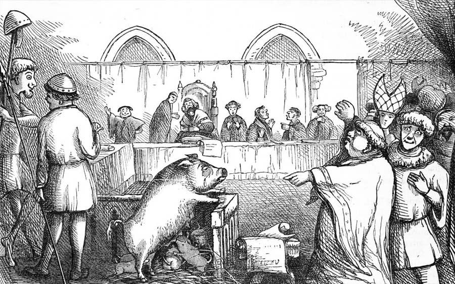 funny american history stories