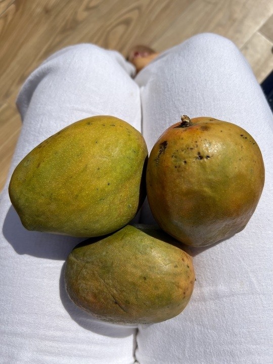 What To Do In Saint Lucia