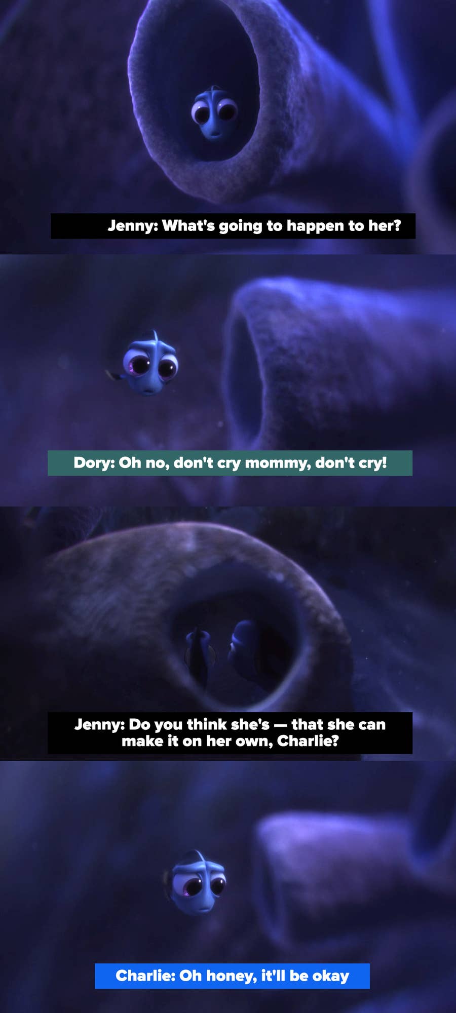 Finding Dory Jenny