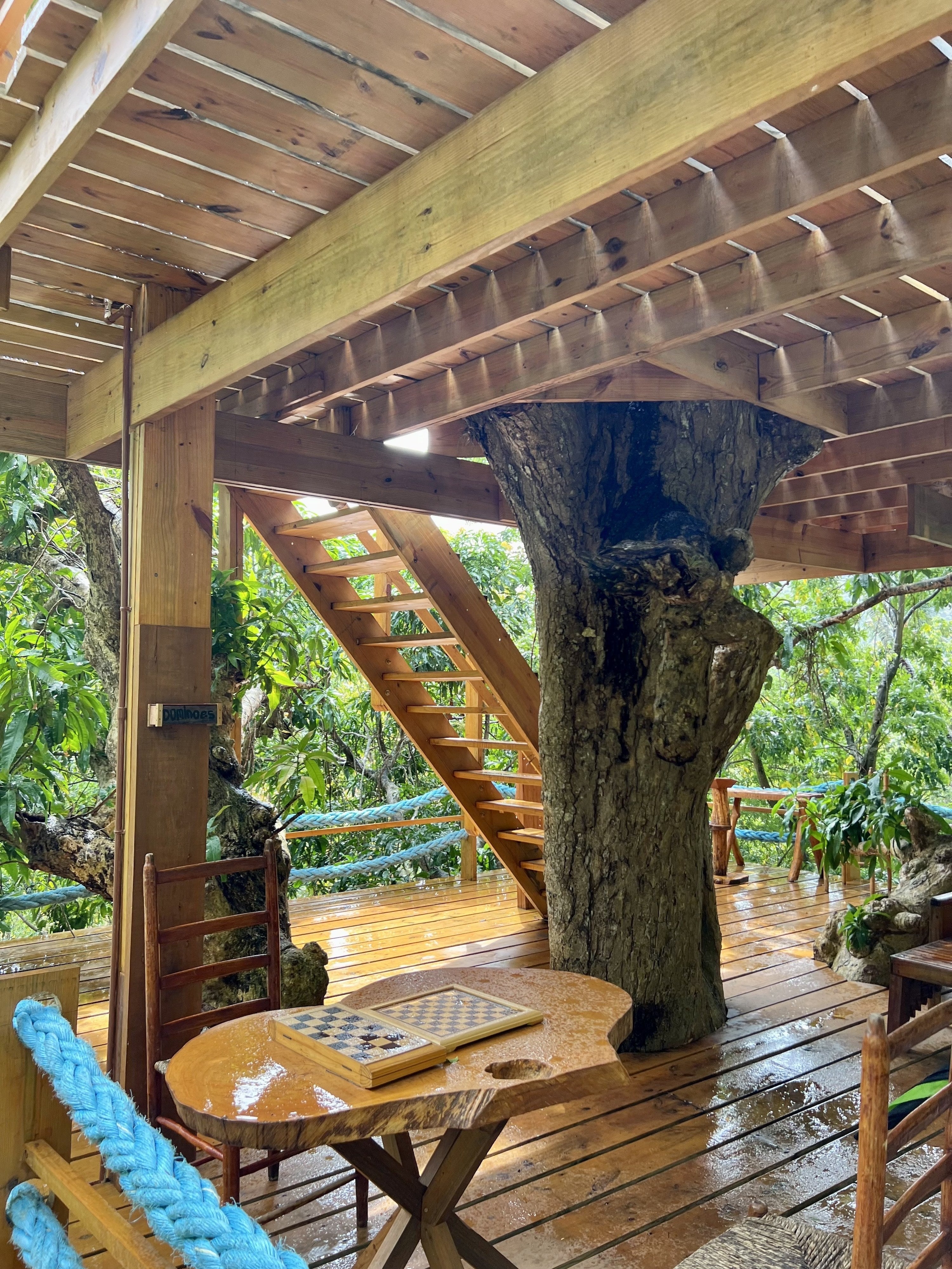 22 Gorgeous Photos Of Saint Lucia