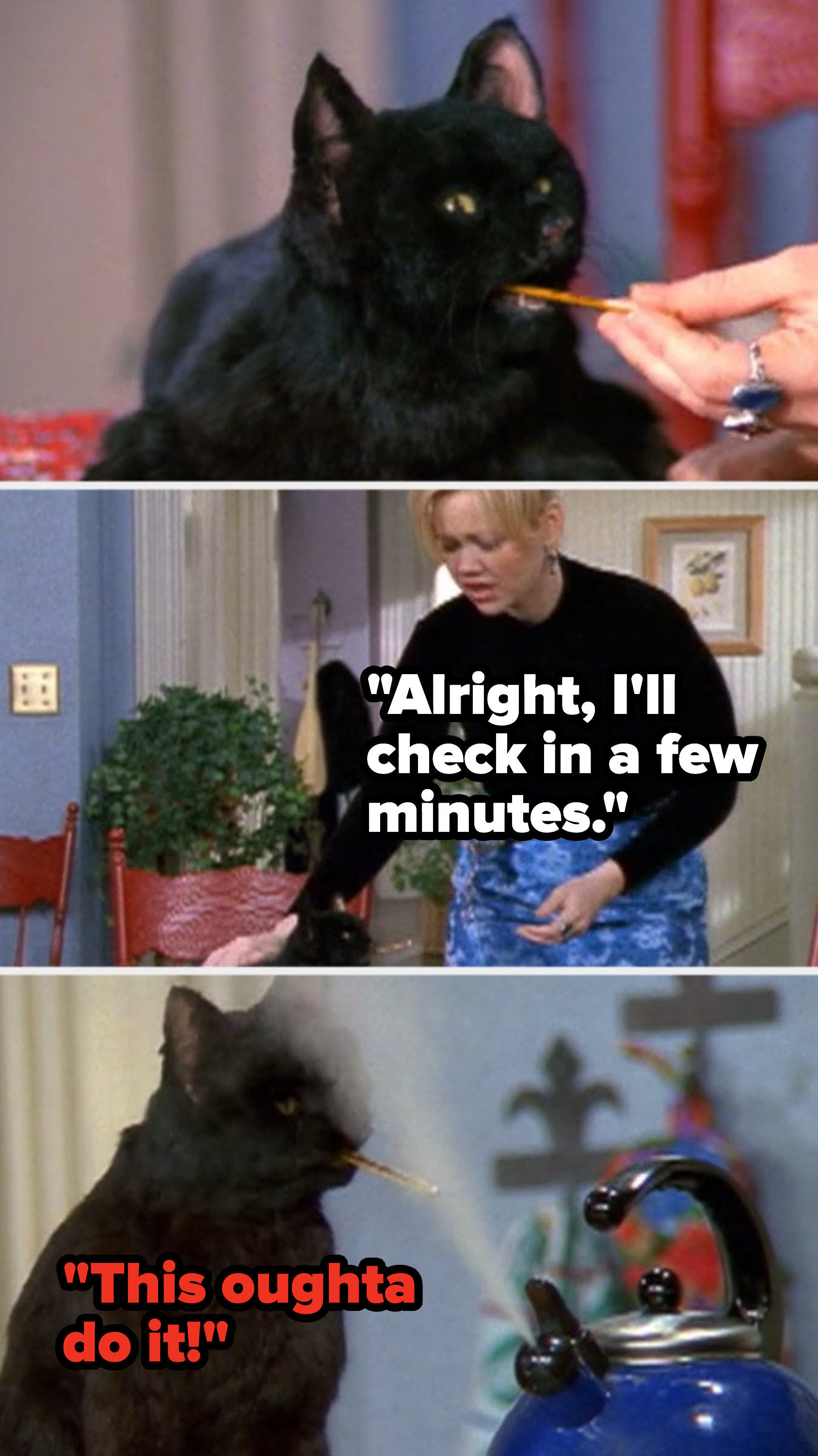 24 Times When Salem Saberhagen Just Did Whatever The Heck He Wanted In ...