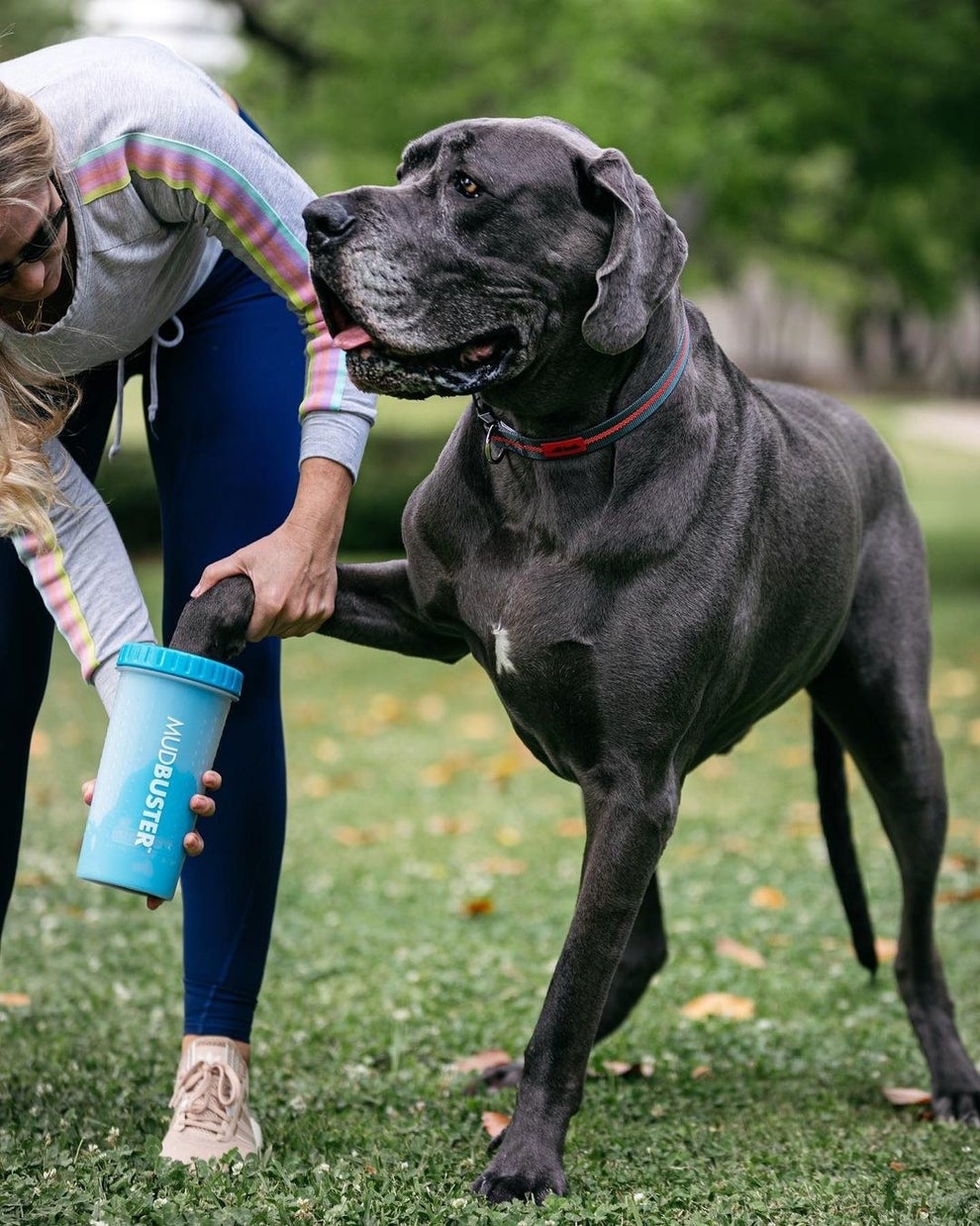 28 Small Gadgets That You'll Use All The Time