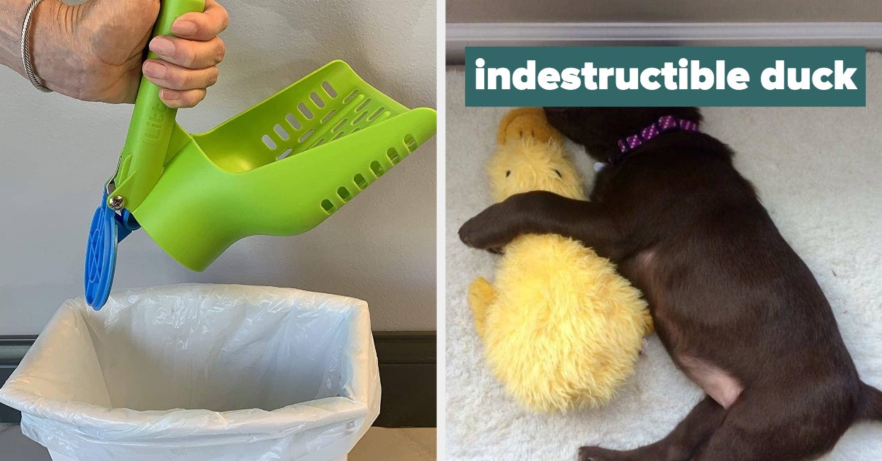 30 Practical And Cheap Pet Products