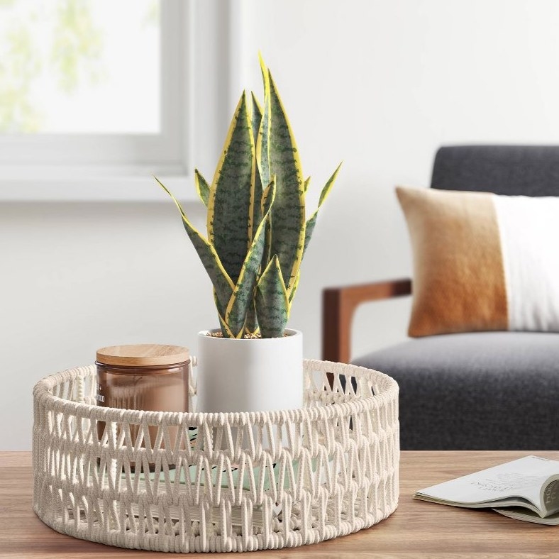 Gorgeous Yet Affordable Things From Target That’ll Make Updating Any ...