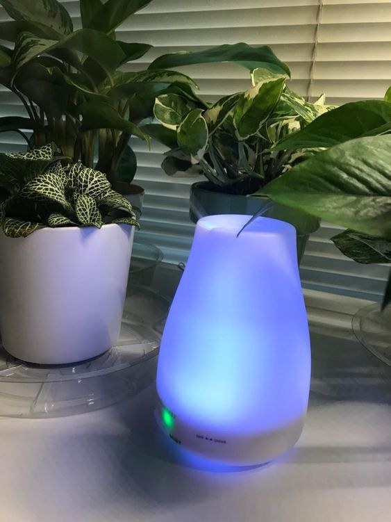 27 Products Under $25 That Are Instant Mood Lifters