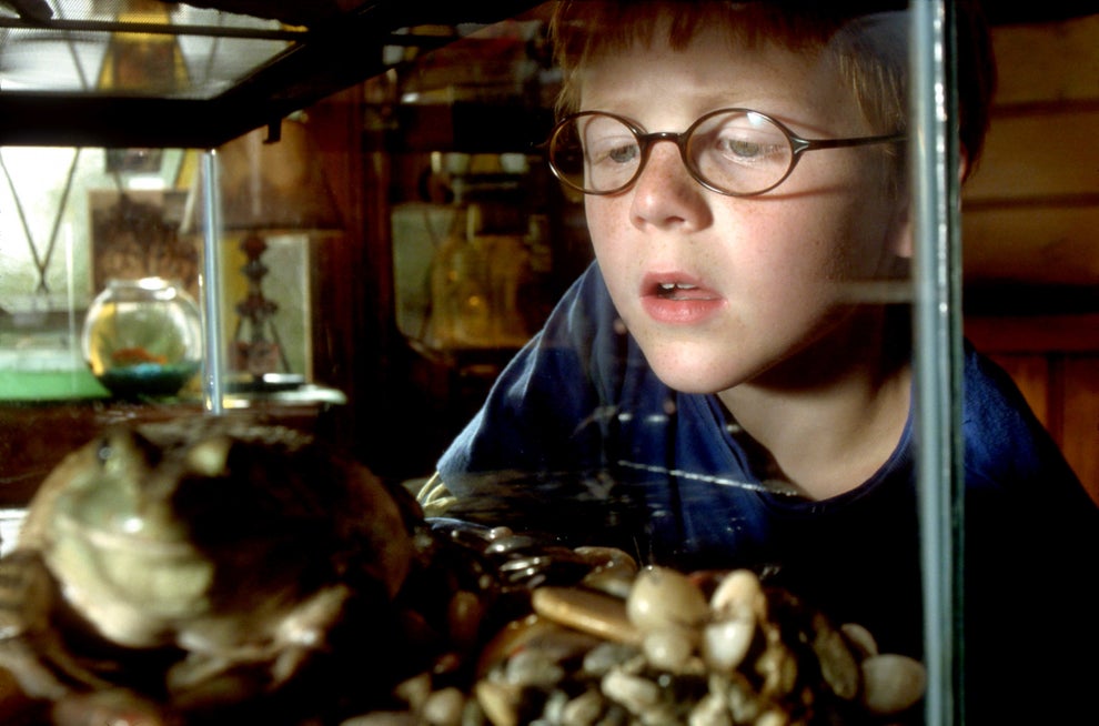 Where Are They Now: Cheaper By The Dozen